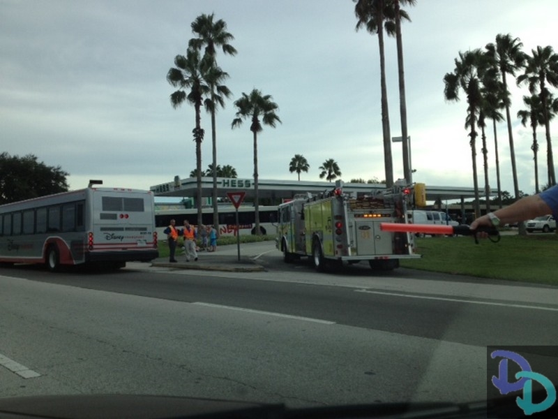 Disney Bus Crash - Doctor Disney